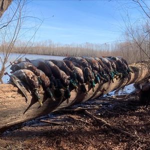 Oklahoma Guided Duck Hunts | All Inclusive Waterfowl Packages | Swamp ...